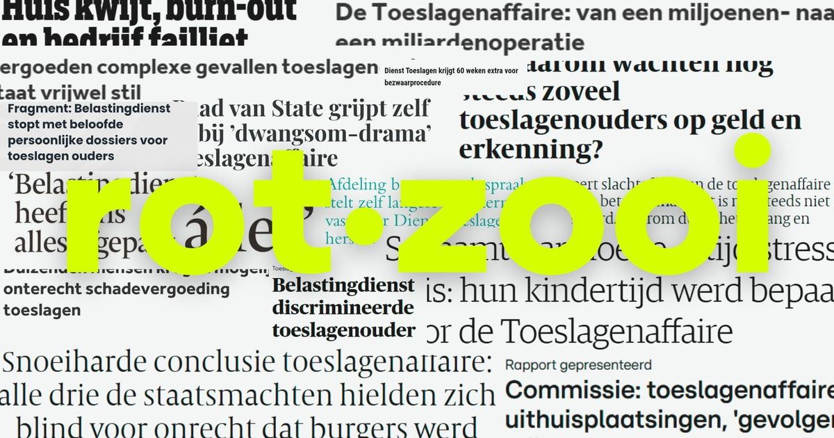 rot•zooi - een kunstpodium dat pijn van het toeslagenschandaal omzet in ...